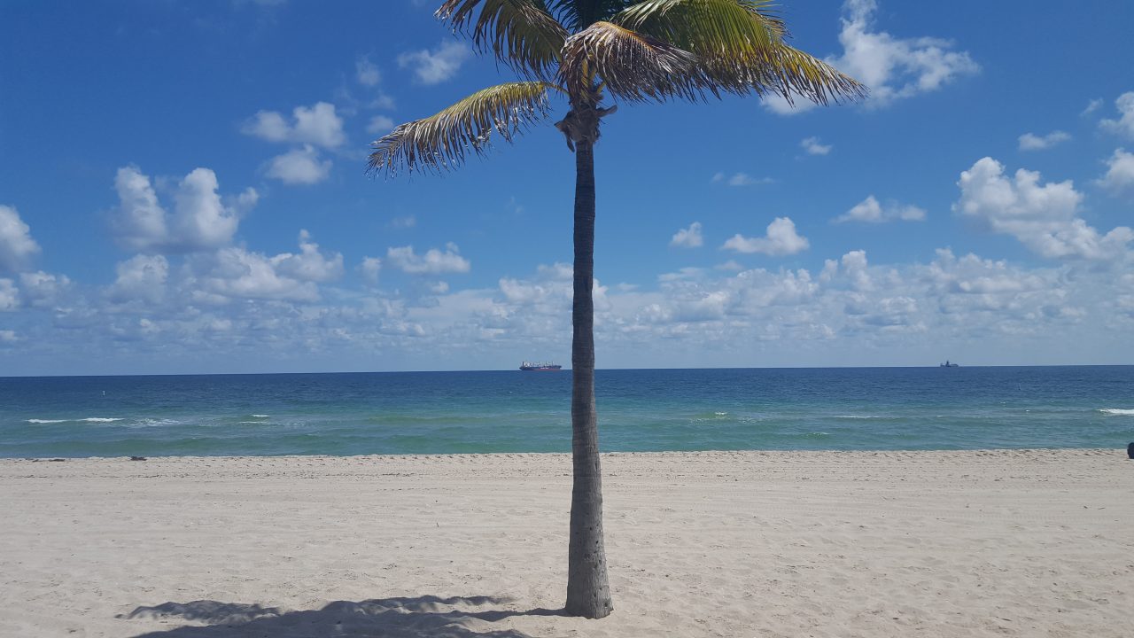 Coaching Services - Leah Field